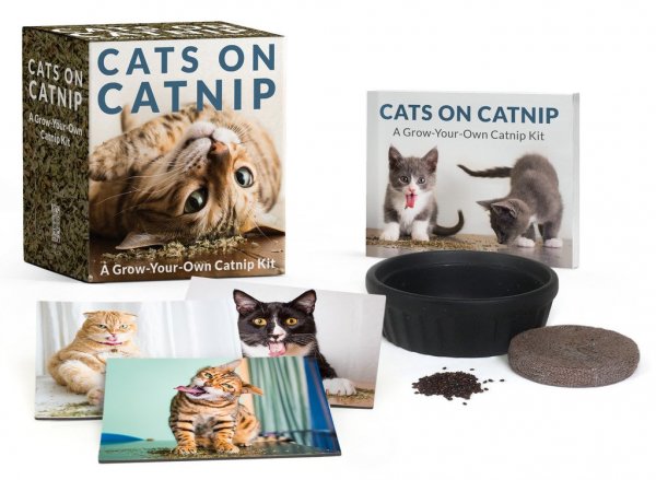 Cats on Catnip: Grow Your Own Catnip Kit - Running Press