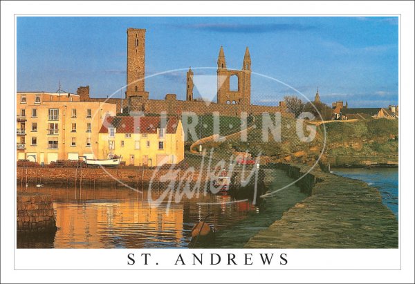 Harbour, St Andrews Postcard (H SG) - Stirling Gallery