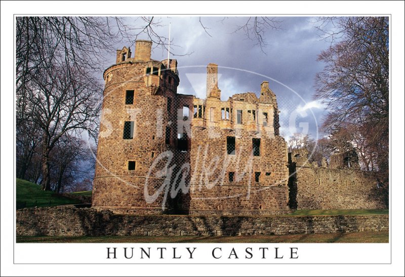 Huntly Castle Postcard (H SG) - Stirling Gallery