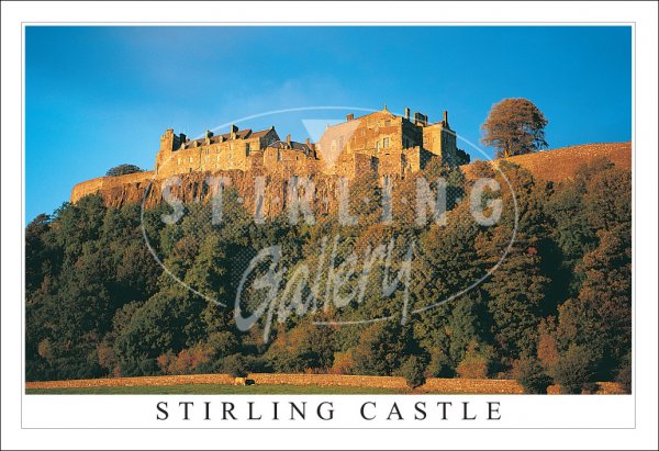 Stirling Castle, Evening Autumn Postcard (H SG) - Stirling Gallery
