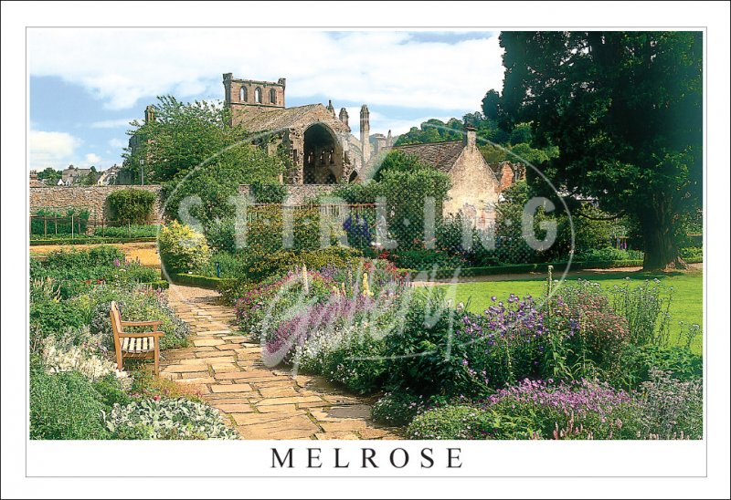 Melrose, Harmony Gardens Melrose Abbey Postcard (H SG) - Stirling Gallery