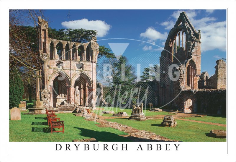 Dryburgh Abbey Postcard (H SG) - Stirling Gallery