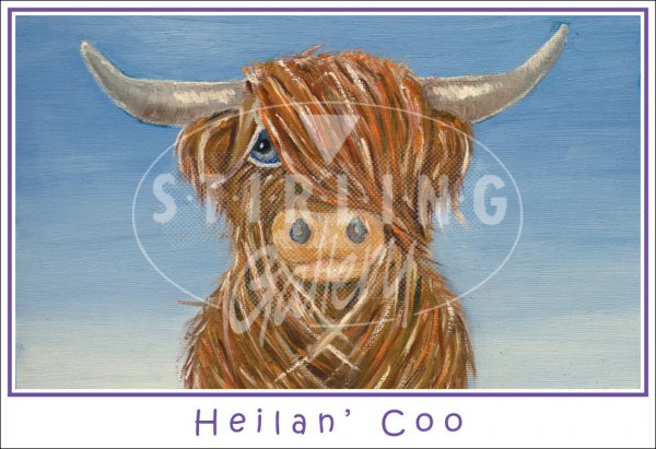 Heilan Coo, cartoon Postcard (H SG) - Stirling Gallery