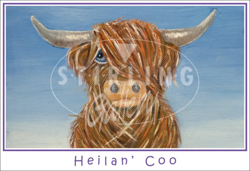 Heilan Coo, cartoon Postcard (H SG) - Stirling Gallery