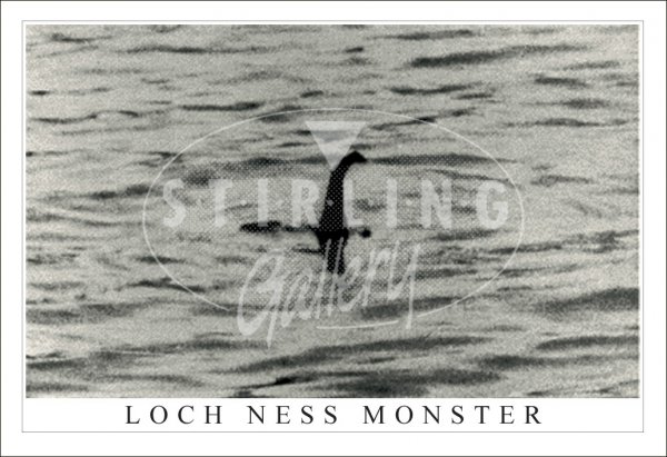 Loch Ness Monster, Surgeon's Photo Postcard (H SG) - Stirling Gallery