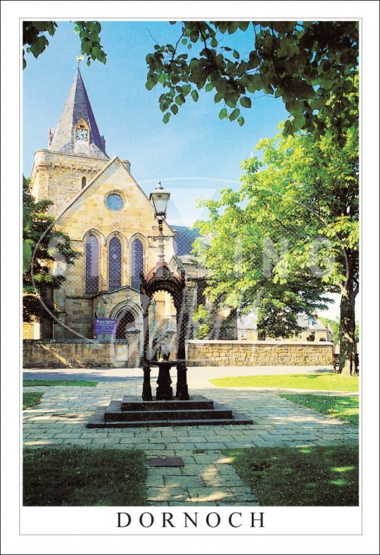 Dornoch Cathedral, Dornoch Postcard (V SG) - Stirling Gallery
