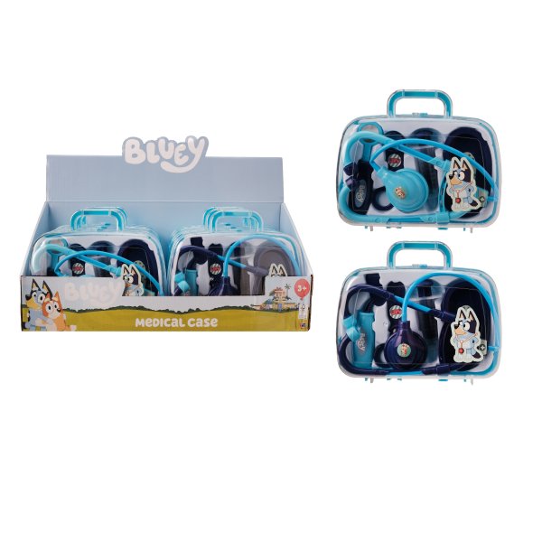 Bluey Medical Case (DPU6) (Feb) - HTI